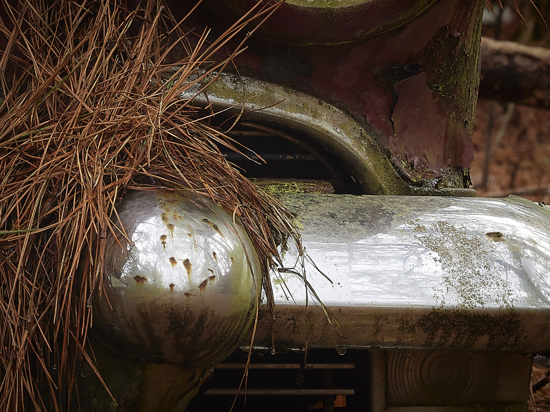 Testing the Phase One IQ4 and Cambo HR 180mm - Capture Integration