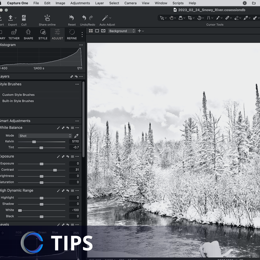 Capture One : Creating Film Simulations Using ChatGPT AI - Capture Integration