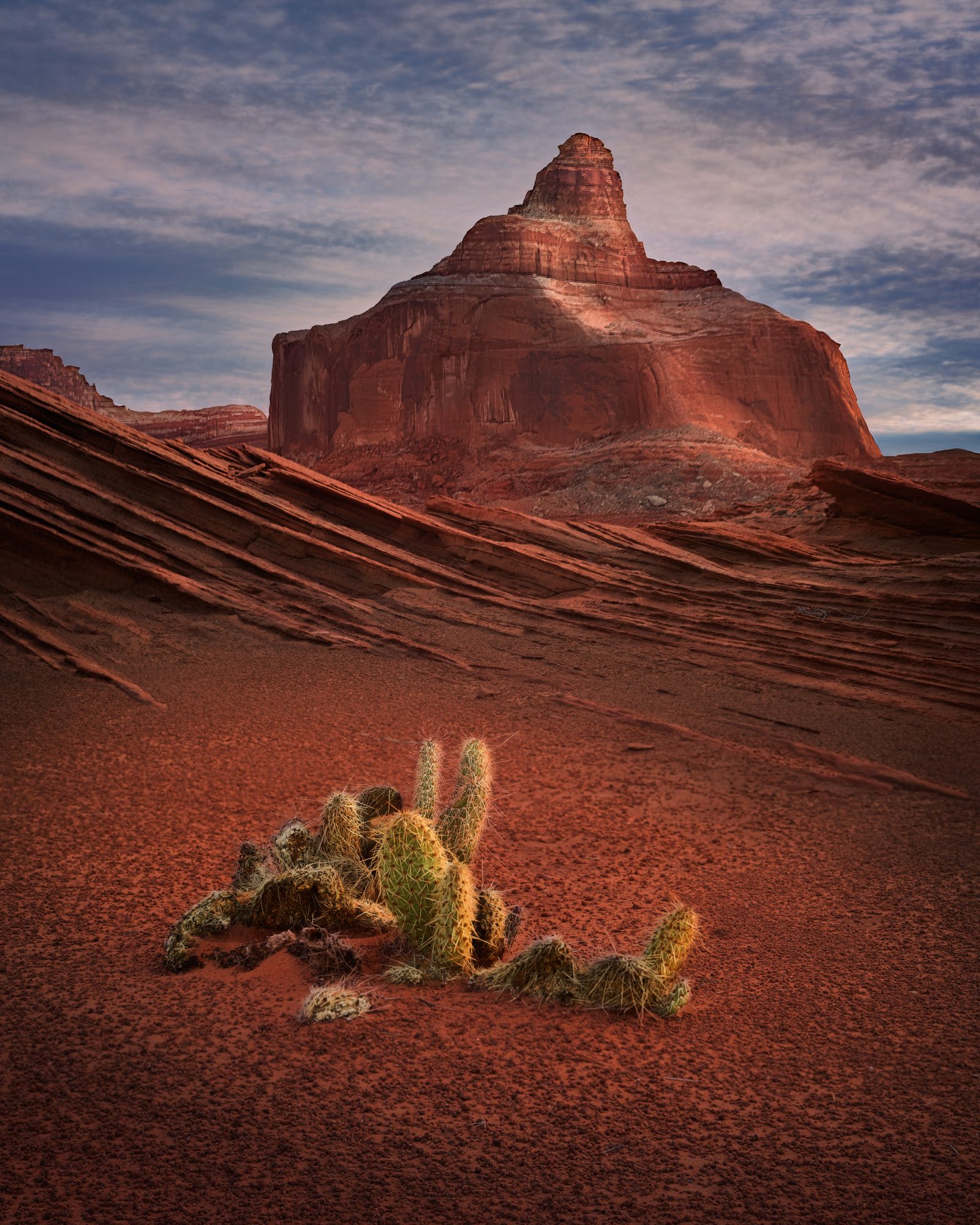 Photographers Spotlight : Peter Boehringer - Capture Integration