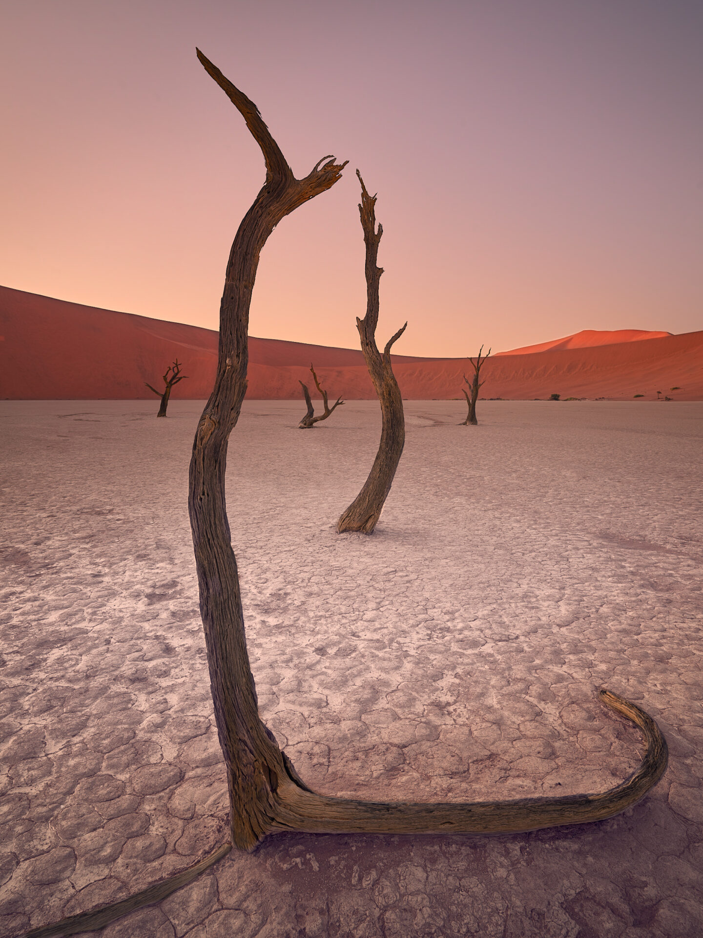Photographers Spotlight : Peter Boehringer - Capture Integration