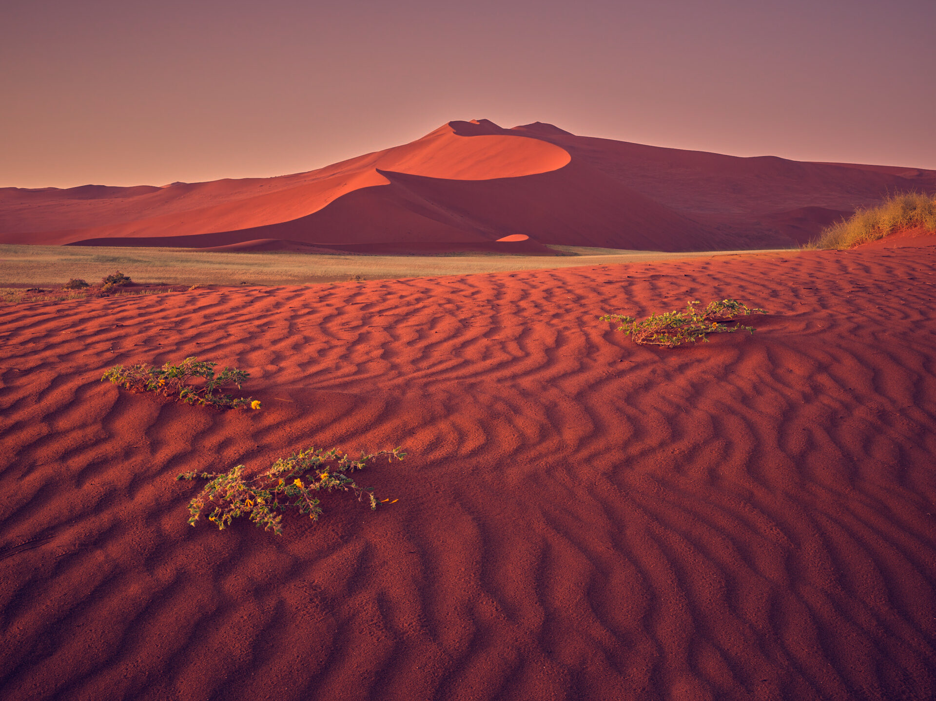 Photographers Spotlight : Peter Boehringer - Capture Integration