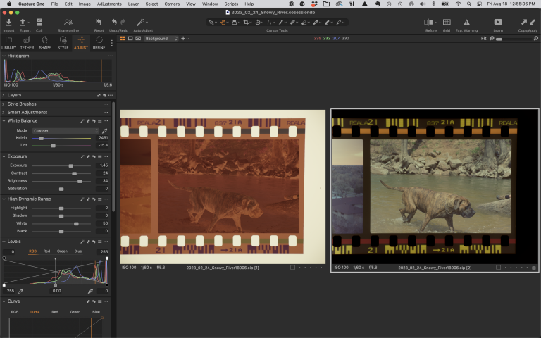 Convert Negative Film to Positives for Printing - Capture Integration
