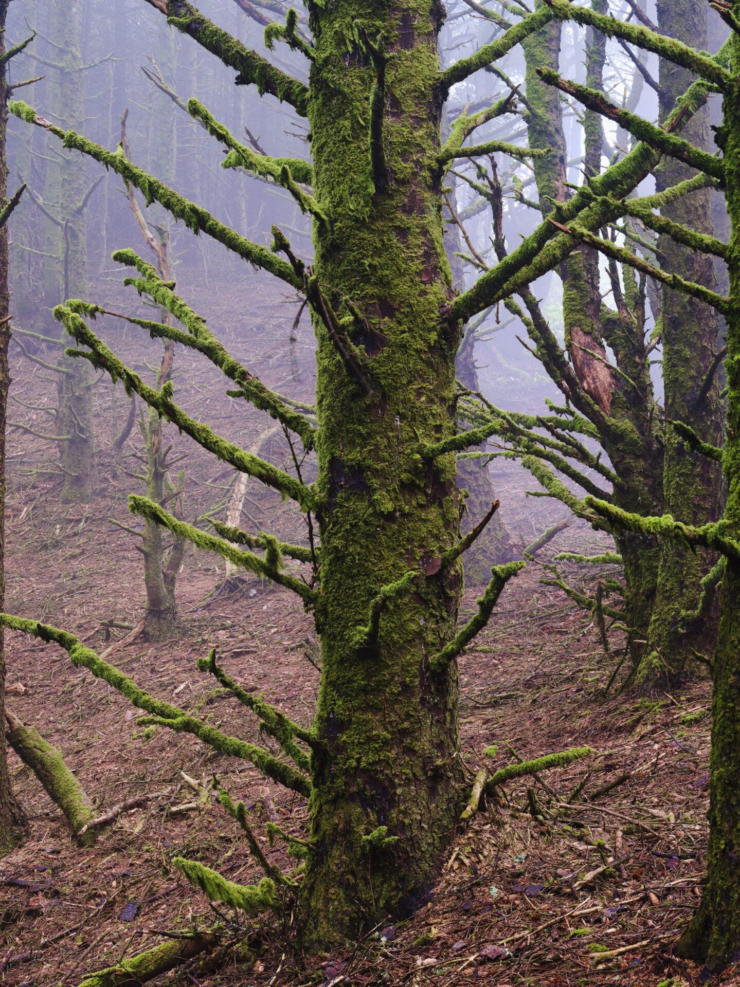 Fujifilm GFX : Focus Bracketing Is Not Just for Close-Ups - Capture ...