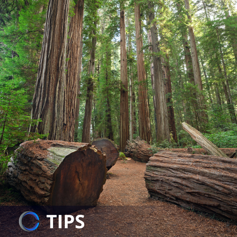 Fujifilm GFX : Focus Bracketing Is Not Just for Close-Ups - Capture ...