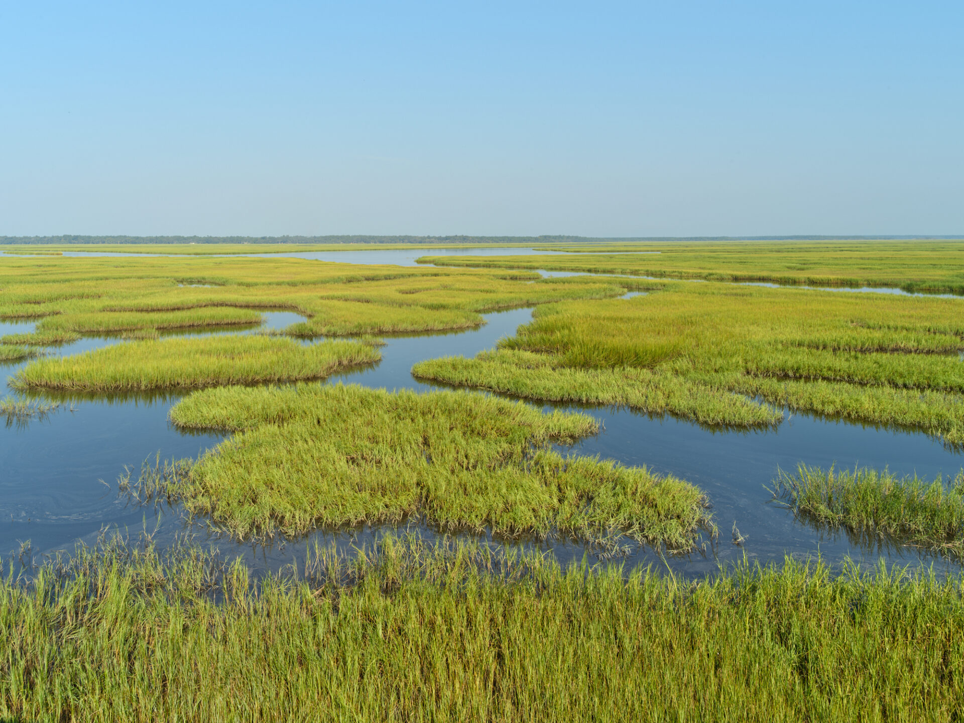 South Georgia Trip with the Phase One IQ4 150 Digital Back - Capture Integration