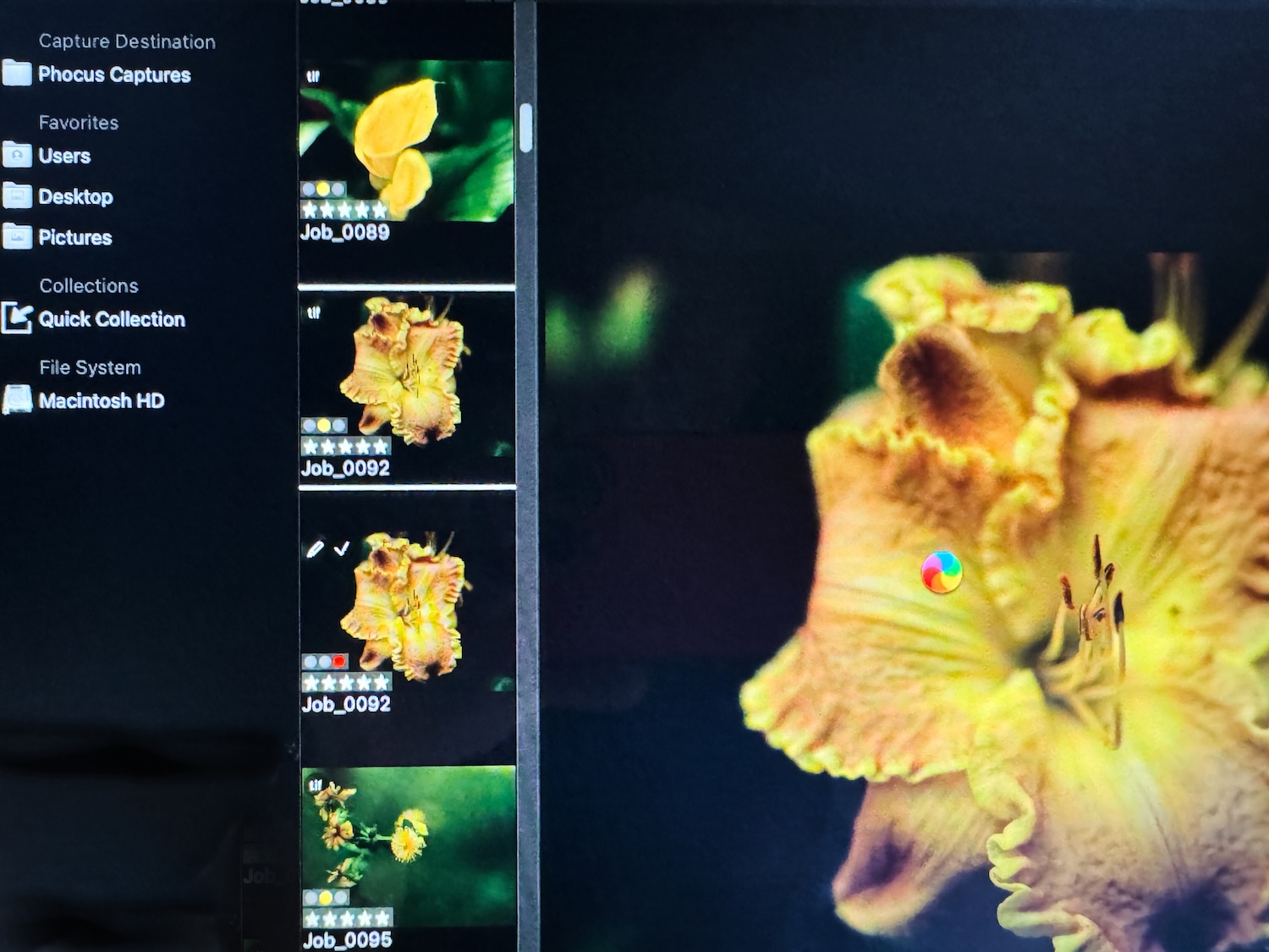 Hasselblad Phocus Software Tiff File Issue - Capture Integration