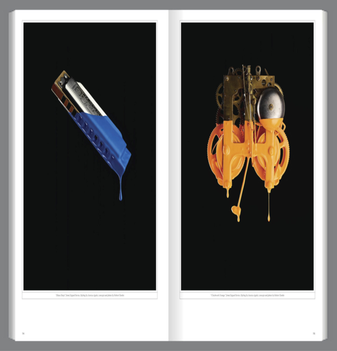 Photographer Spotlight - Capture Integration